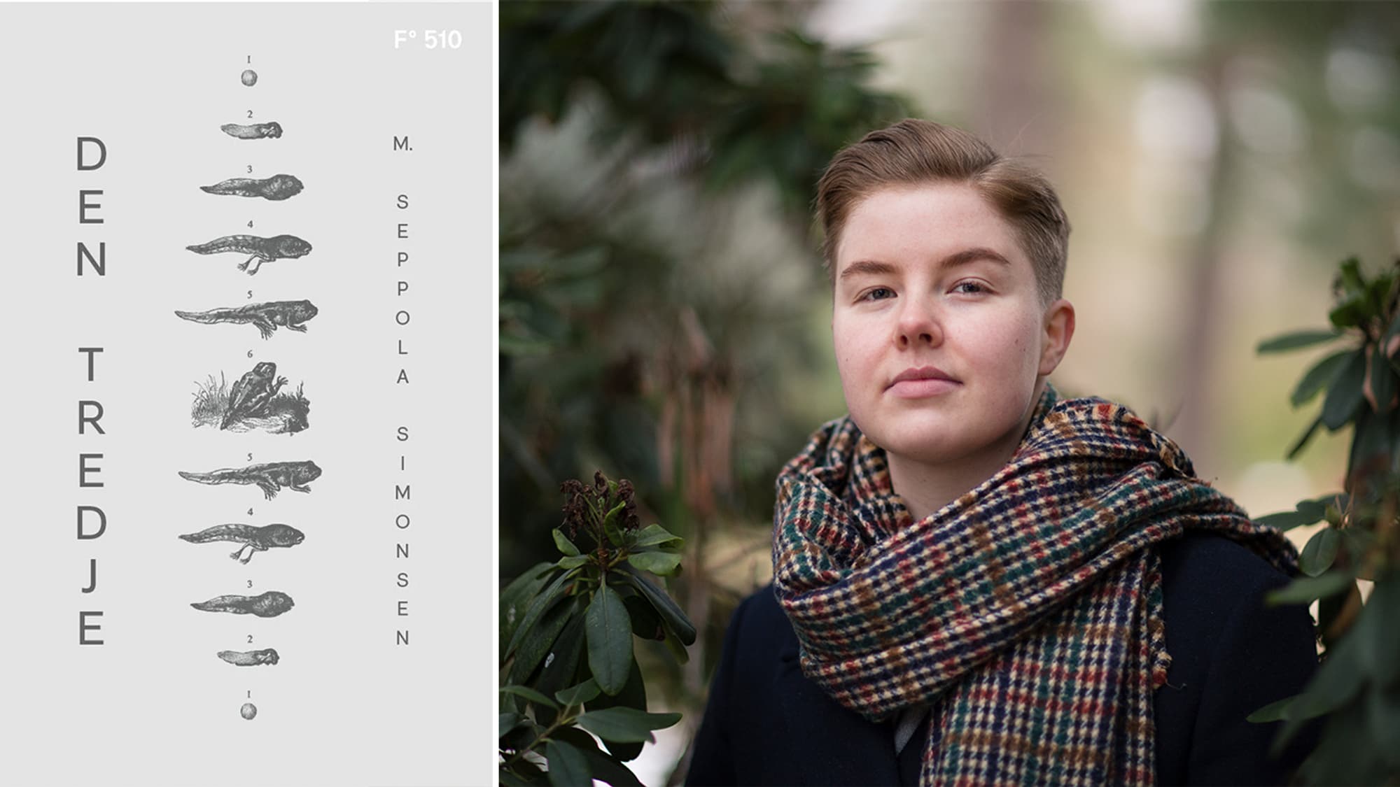 Anmeldelse: «Den tredje» av M. Seppola Simonsen – NRK Kultur og ...