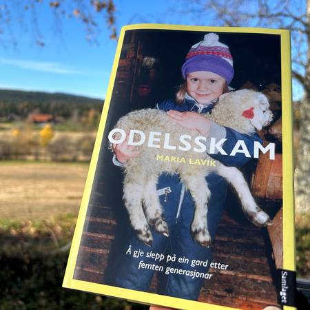 Anmeldelse: «Odelsskam» av Maria Lavik – Anmeldelser og anbefalinger