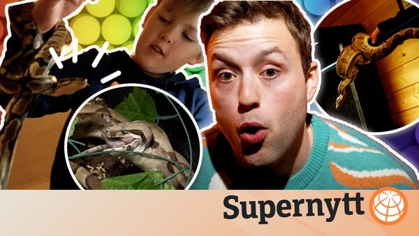 NRK Super - Supernytt