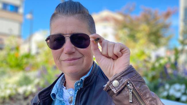 Kjempevepsen Geithams brer om seg og kan bli fjernet fra rødlista over ...