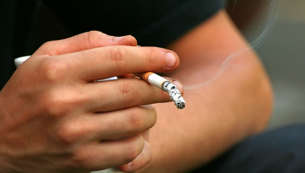 Nikotin gjør deg kjappere og dårlig – NRK Viten – Nyheter innen ...