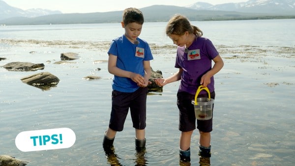 NRK Super - Planetpatruljen