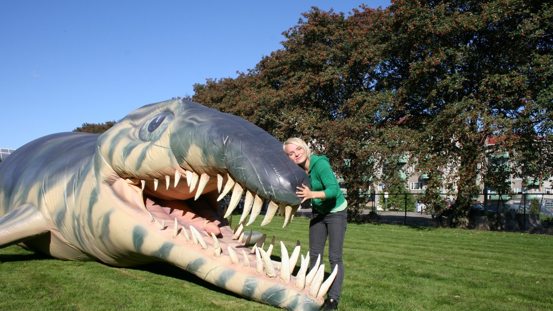 Newton arkiv - NRK TV