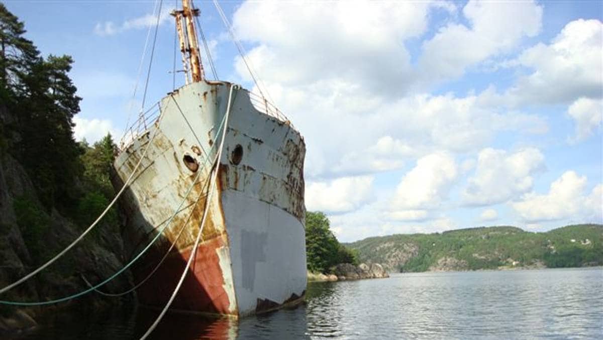 Kulturvrak kan bli beslaglagt – NRK Østfold – Lokale nyheter, TV og radio