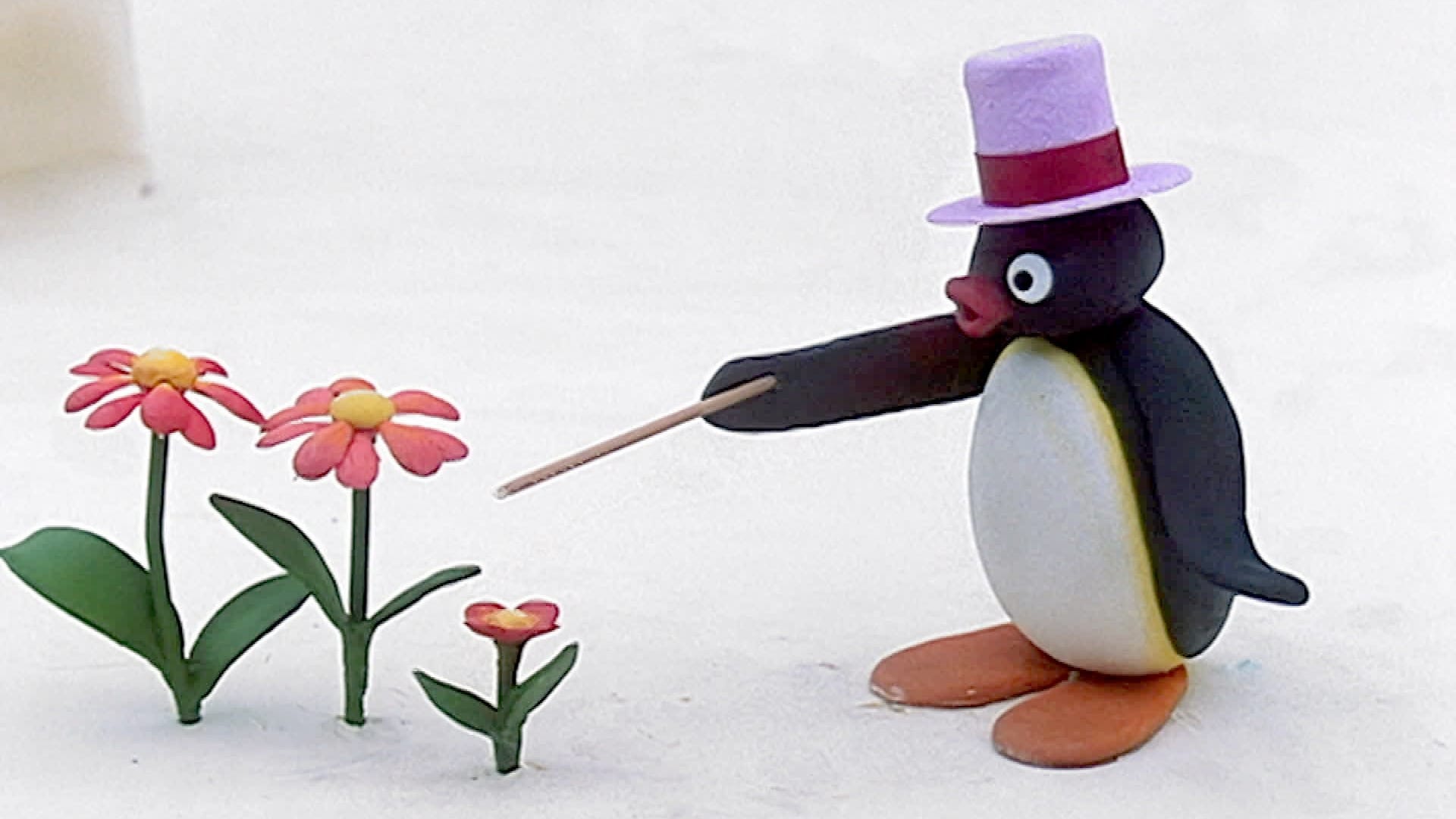 Pingu - NRK TV