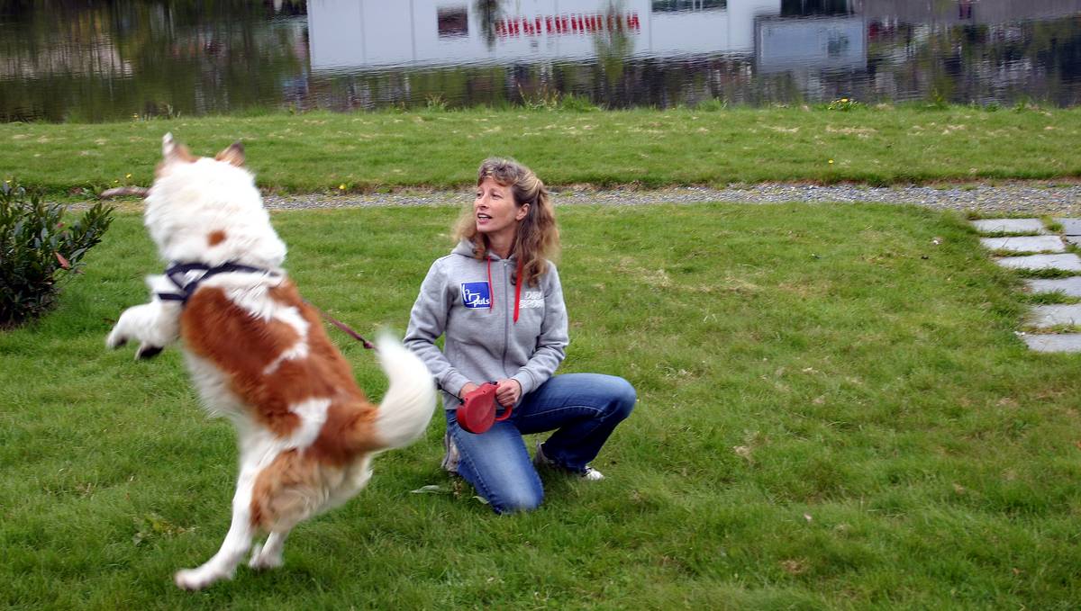 - Bør ikkje ha kjæledyr – NRK Vestland