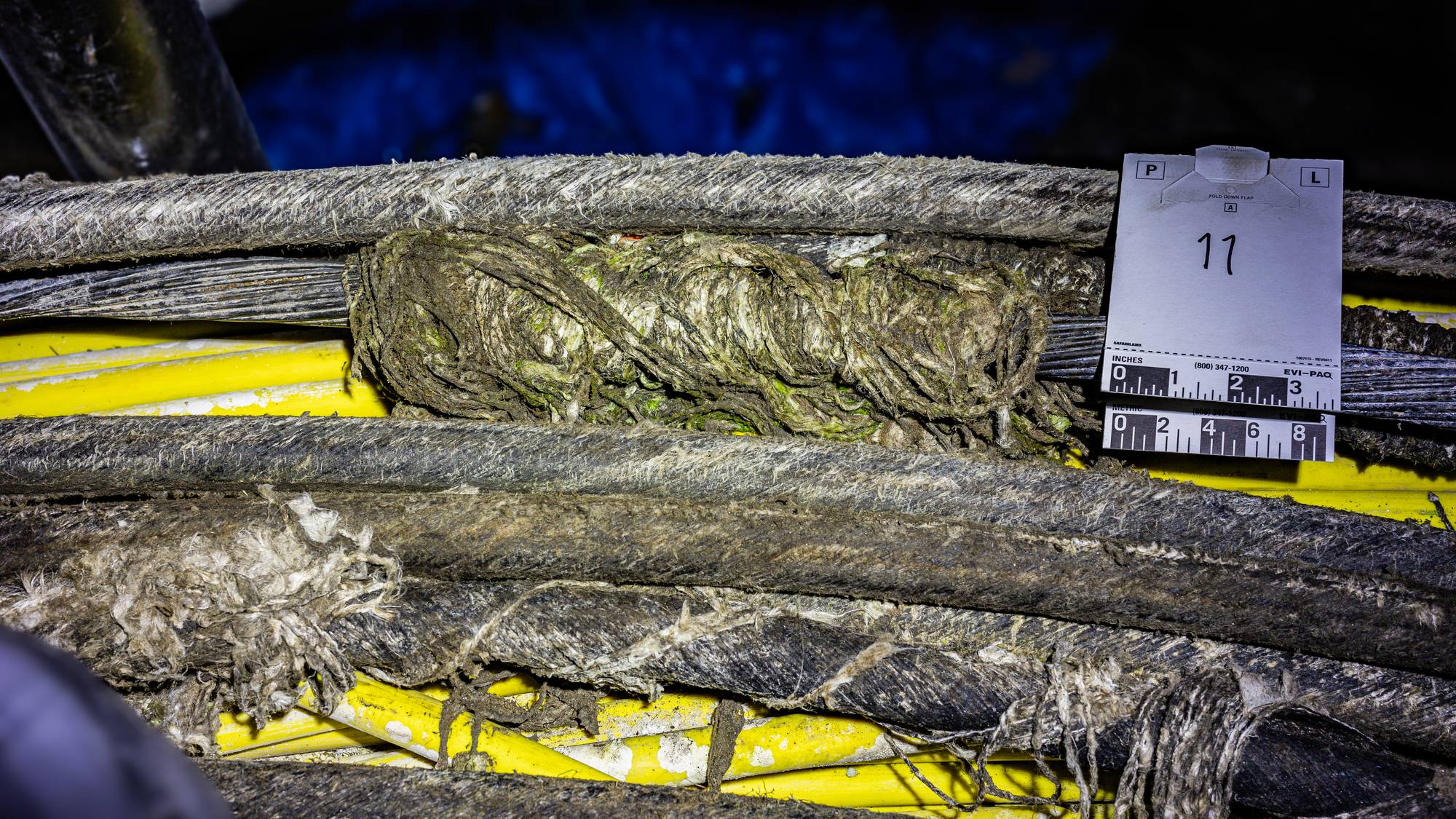 This is what the damaged Svalbard cable looked like when it came up ...