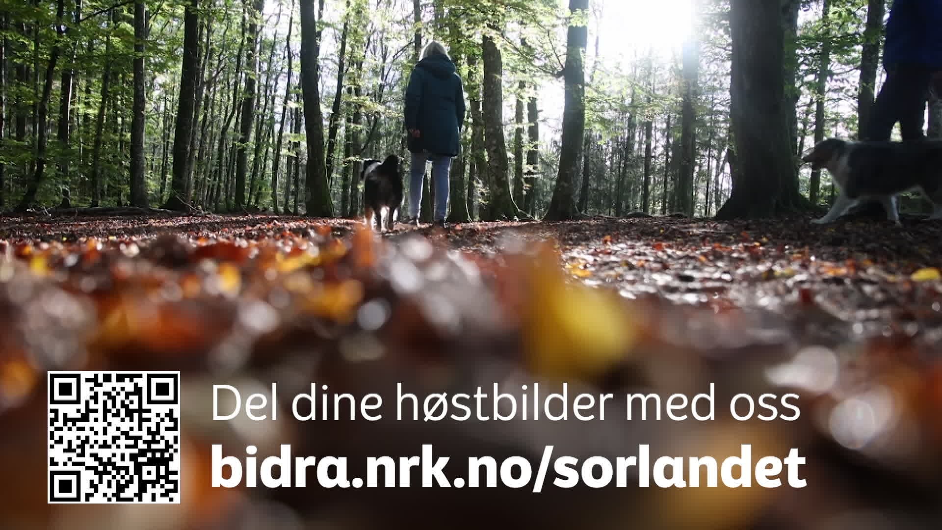 Seerbilder – NRK Sørlandet – Lokale nyheter, TV og radio