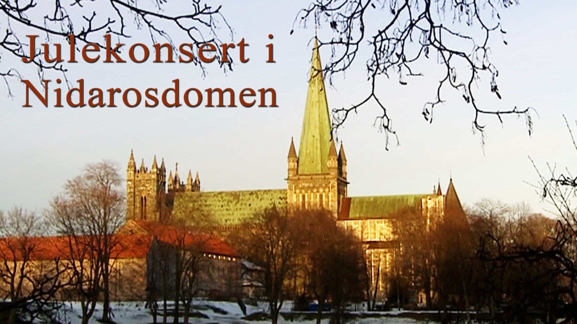 Julekonsert i Nidarosdomen - NRK TV