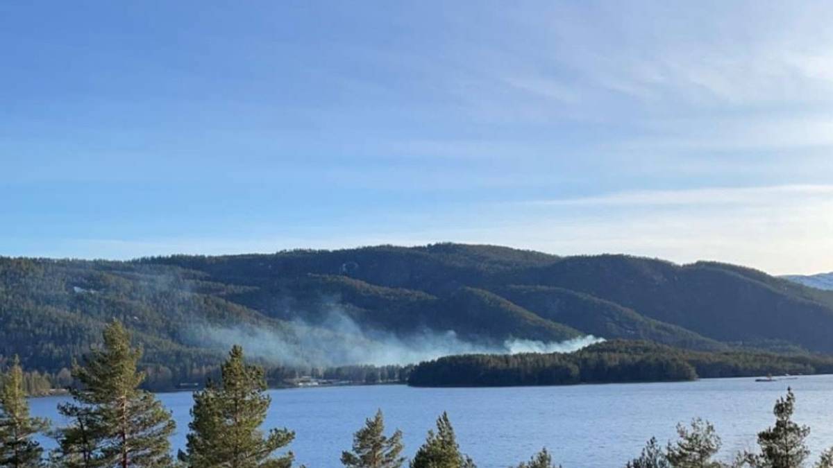 Brannhelikopter på vei til Seljord – NRK Vestfold og Telemark – Lokale ... Brannhelikopter på vei til Seljord – NRK Vestfold og Telemark – Lokale ...