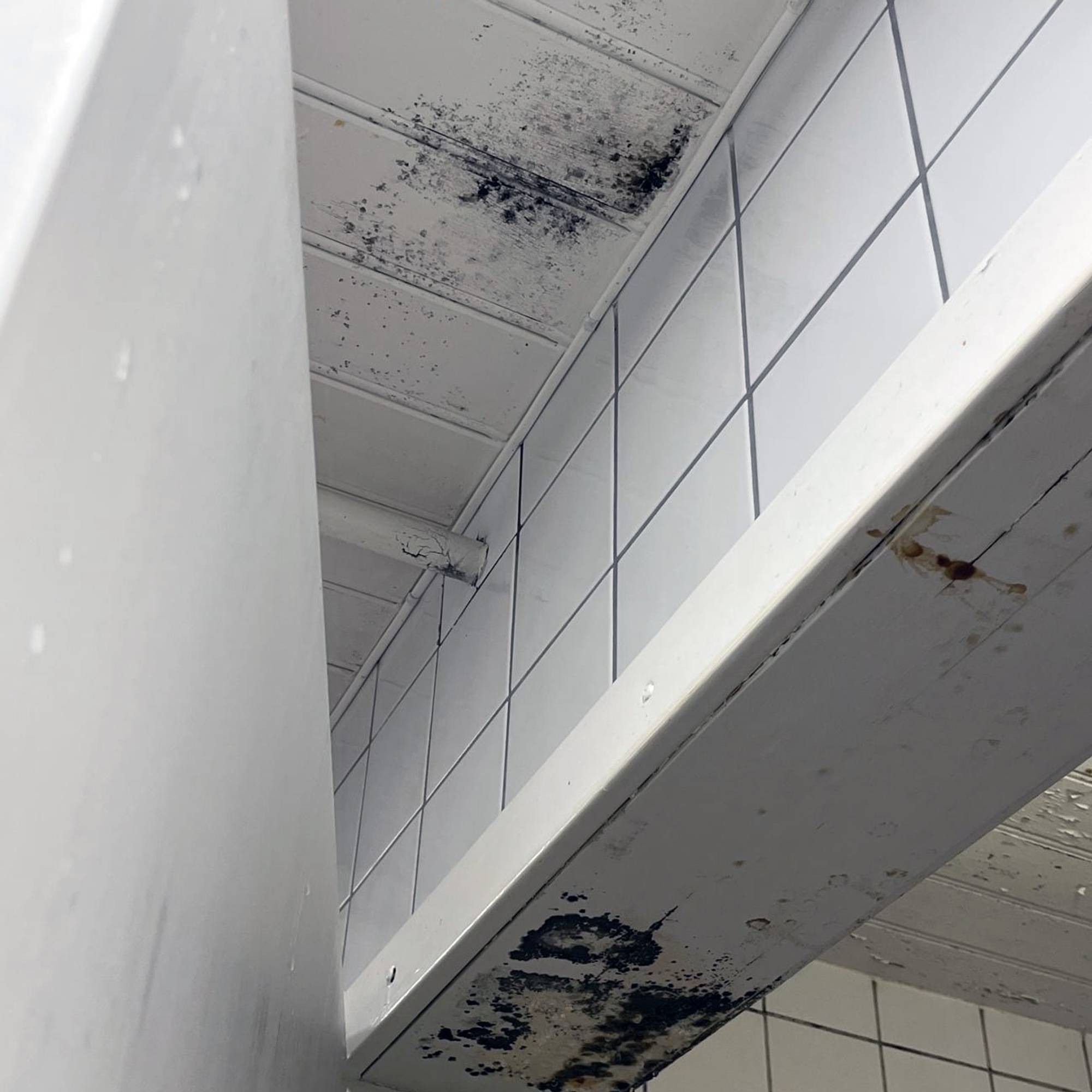 Hepatitt A-utbruddet i Oslo: Dette fant Mattilsynet – Stor-Oslo