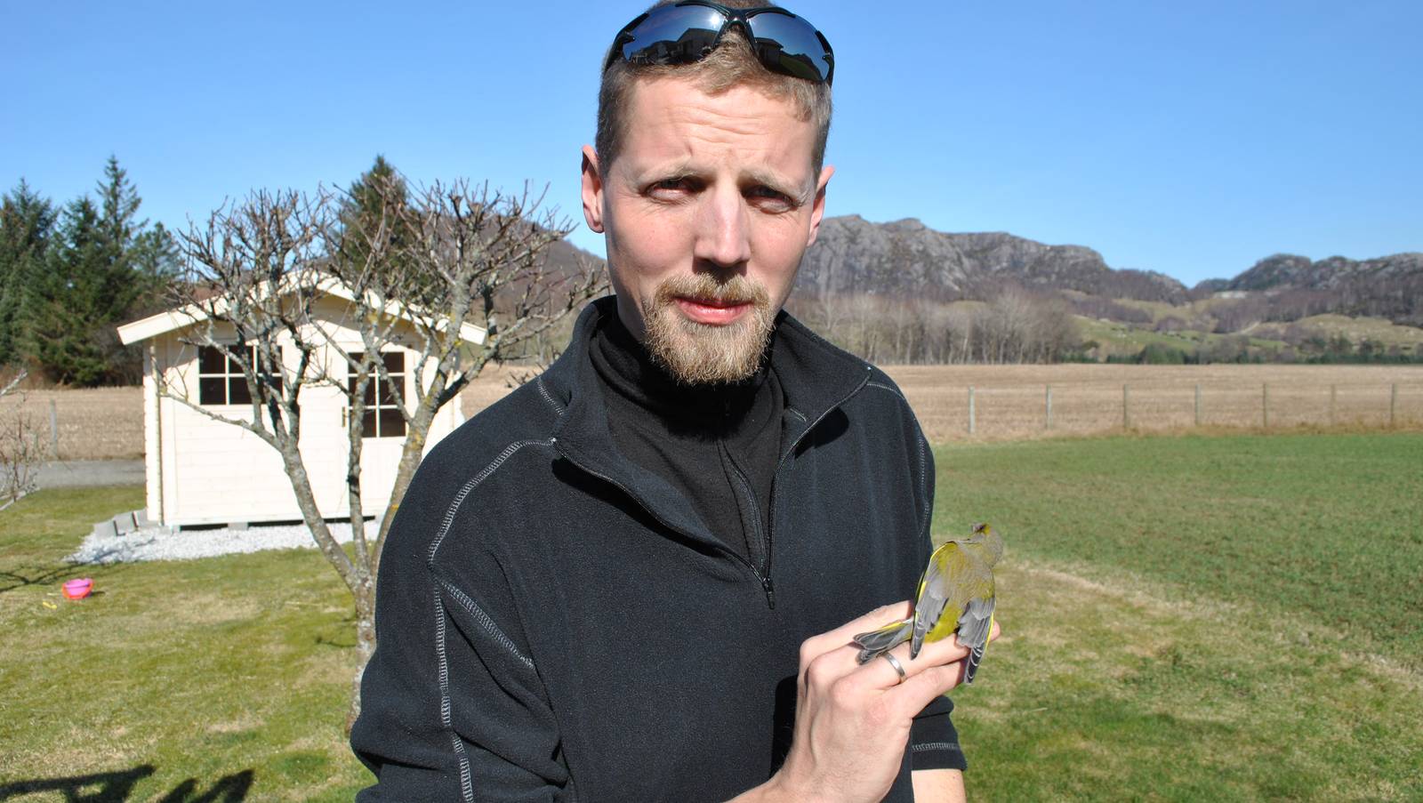 Høysesong for fuglelopper – NRK Rogaland – Lokale nyheter, TV og radio