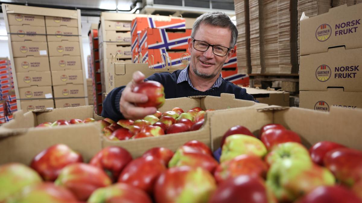 Epla modna på rekordtid: – Dette er heilt ekstremt – NRK Vestland