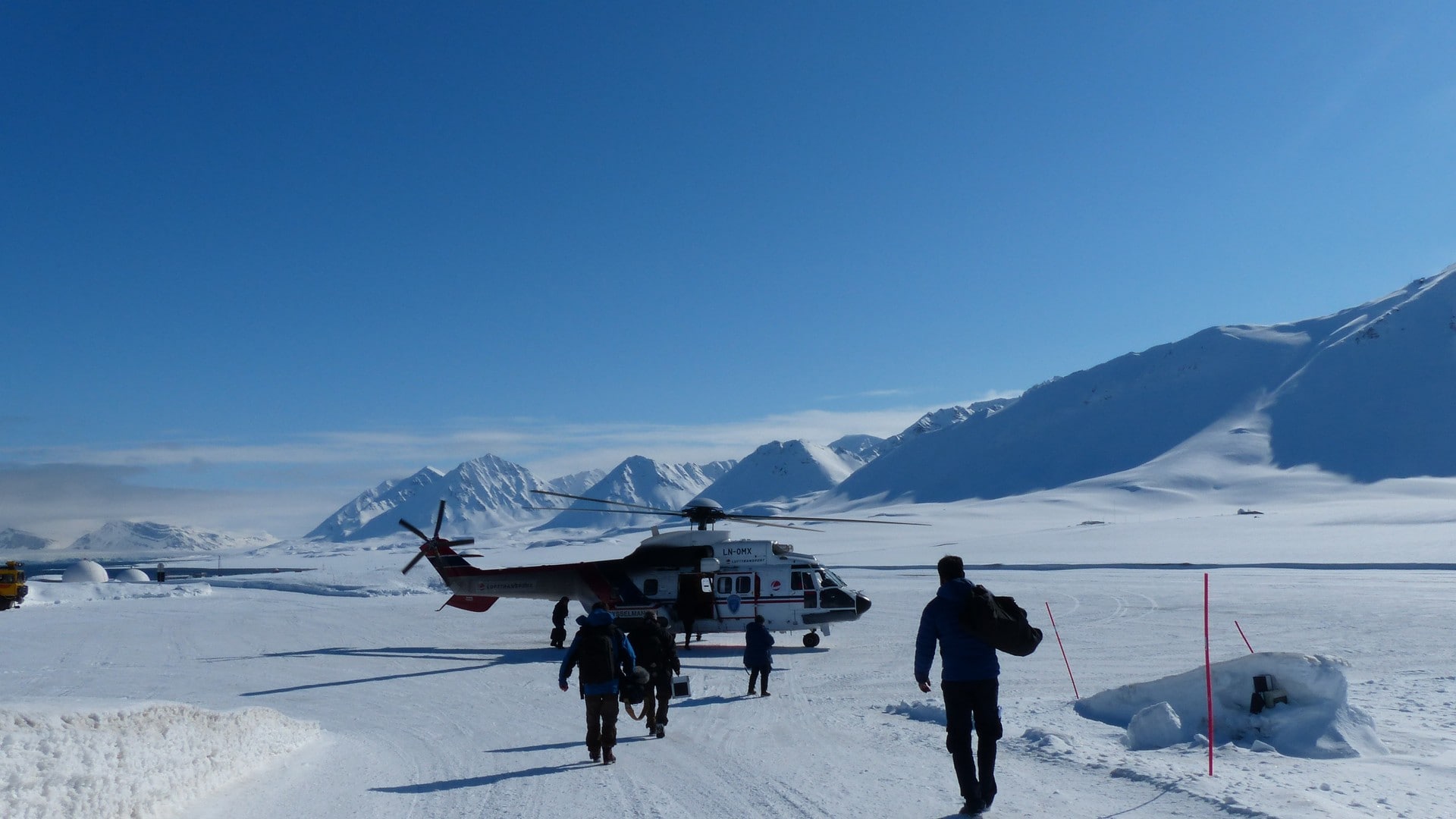 Rabies på Svalbard – NRK