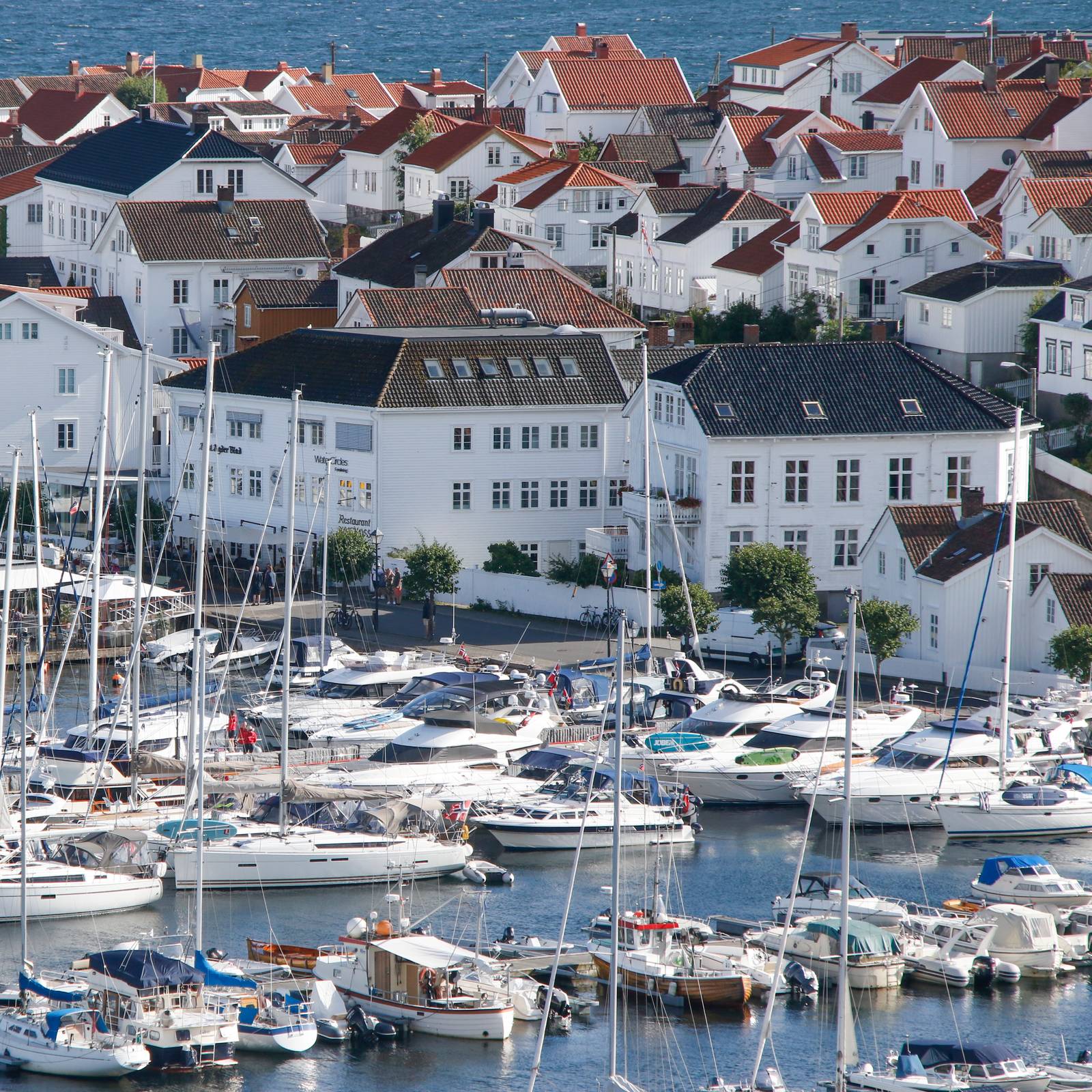 Norsk hvitfarge preger hele verden – Kultur