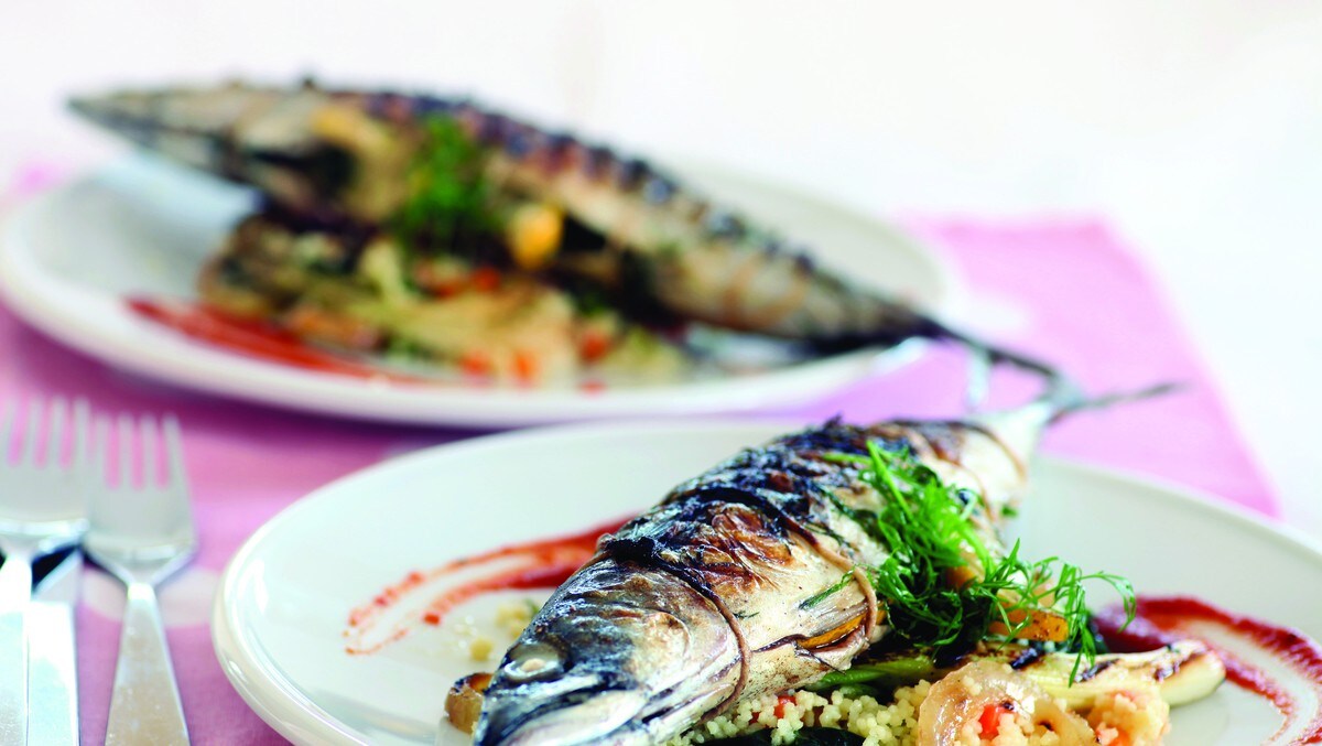 Makrell full av myter – NRK