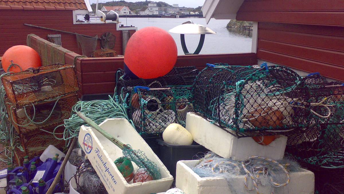 Skal Du Fiske Krabber I Sommer Nrk Vestfold Og Telemark Lokale