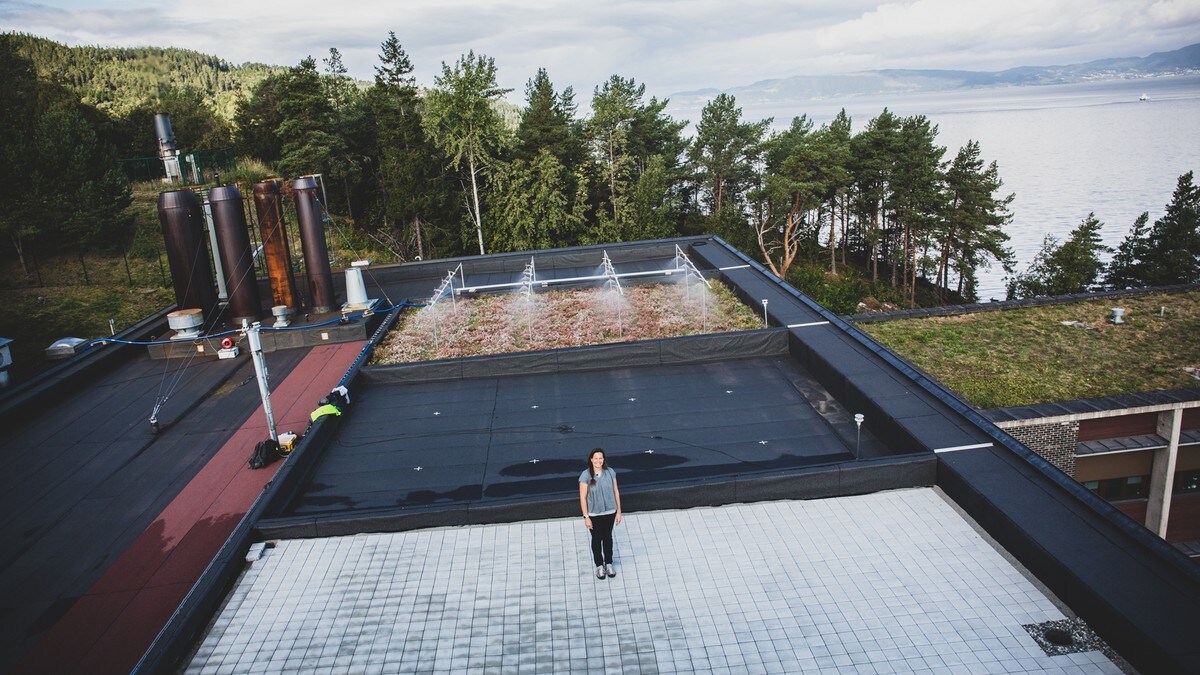 I fremtiden må vi ta grep for å hindre at byene våre drukner i ...