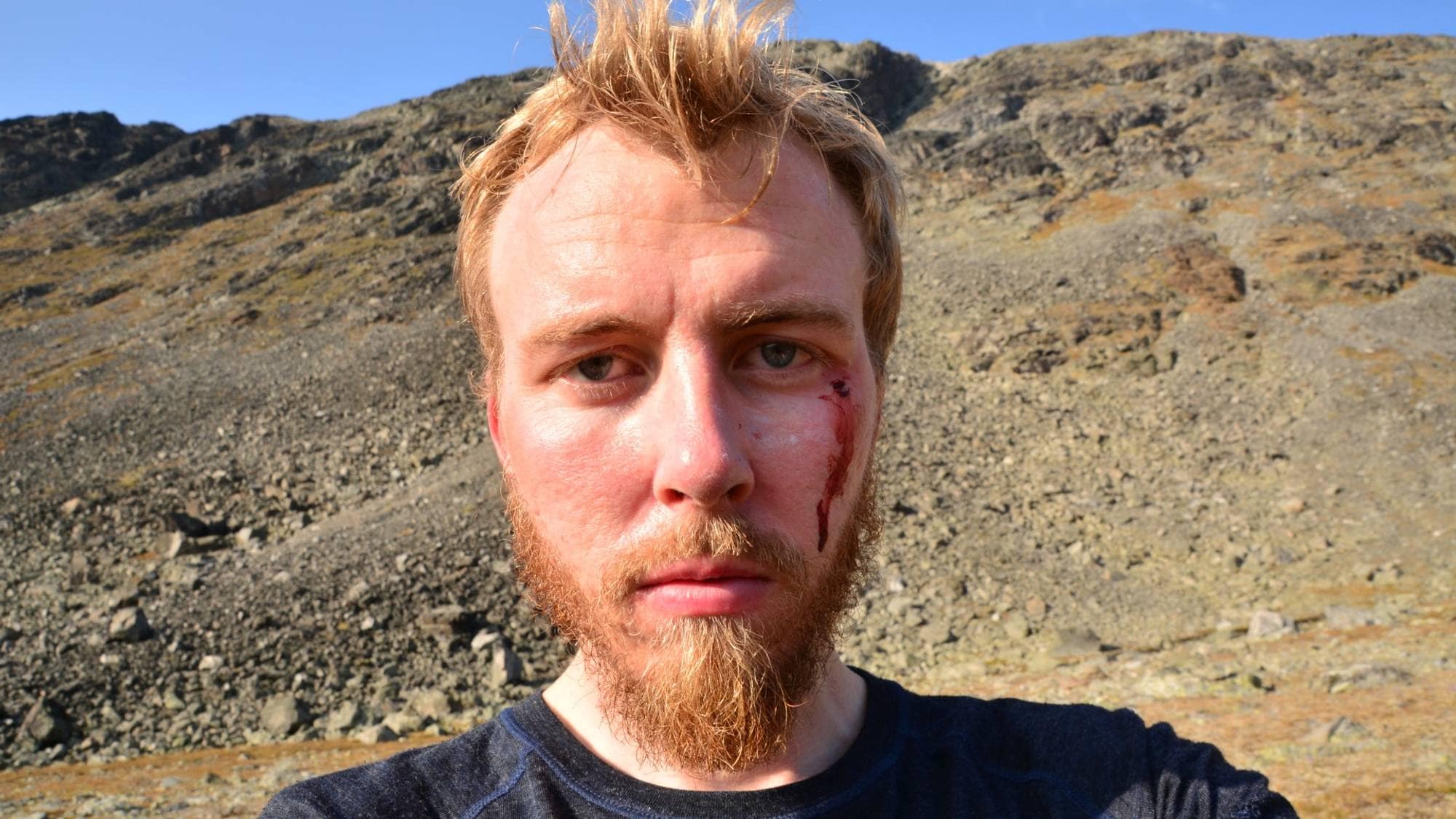 Fire kongeørn­angrep på fem dager: – Helt abnorm adferd, ifølge ...