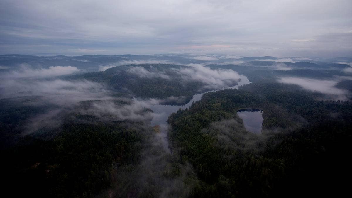 Anbefaler mindre nasjonalpark i Østmarka – Stor-Oslo