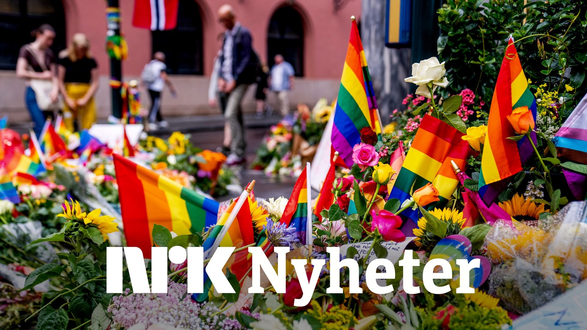 NRK Nyheter - NRK TV