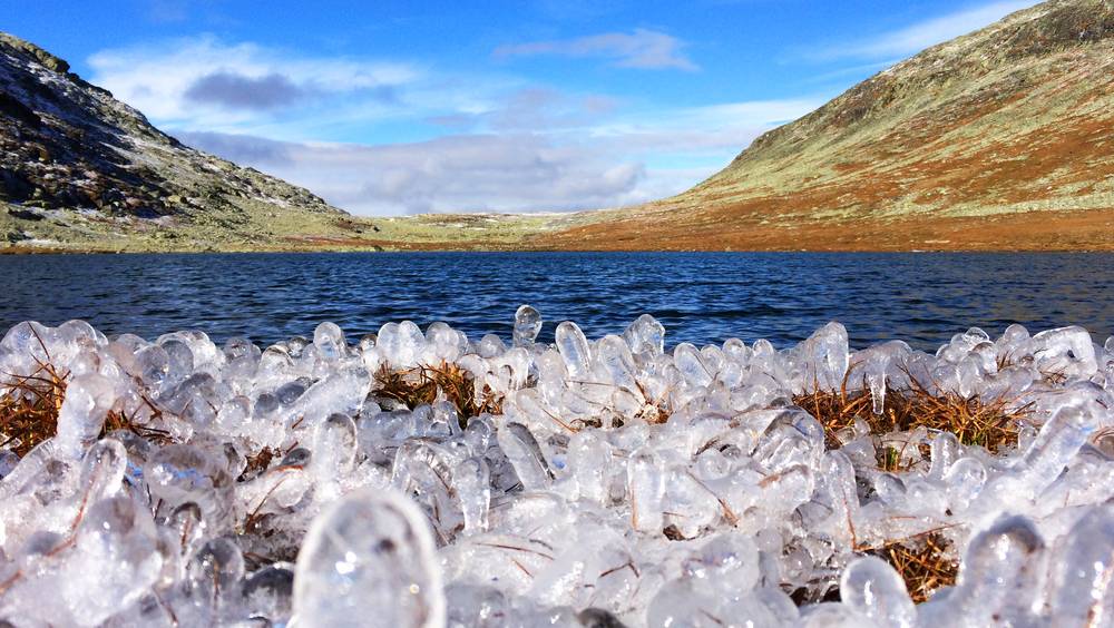 Hattifnatter samlet på høstfjellet – Yr