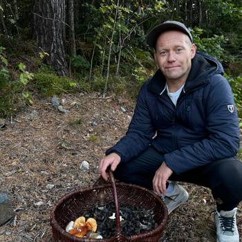 Flere tilfeller av soppforgiftning: – Ikke så mye vi kan gjøre – NRK Sørlandet – Lokale nyheter ...