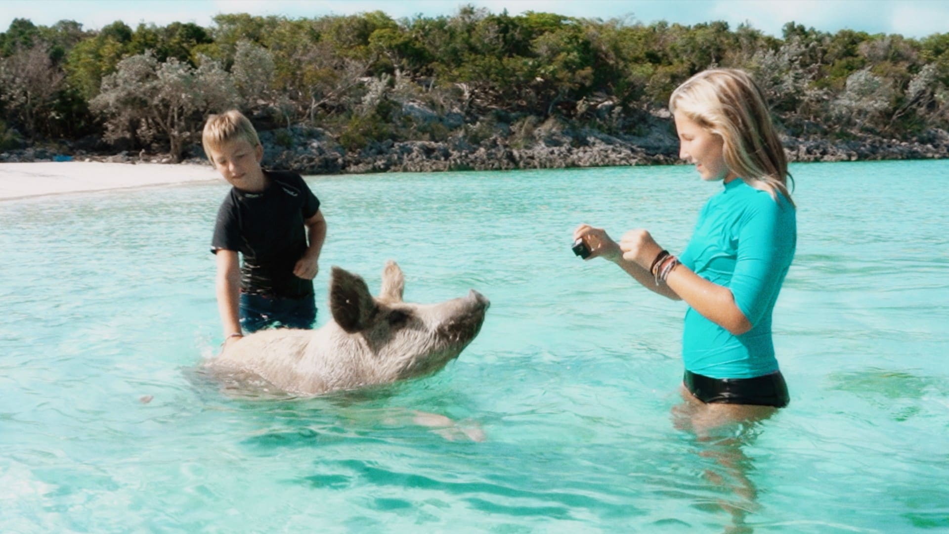 Flaskepost fra havet - NRK TV