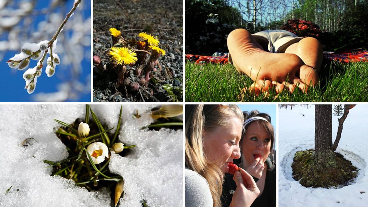 Send dine vårbilder til yr.no – Yr