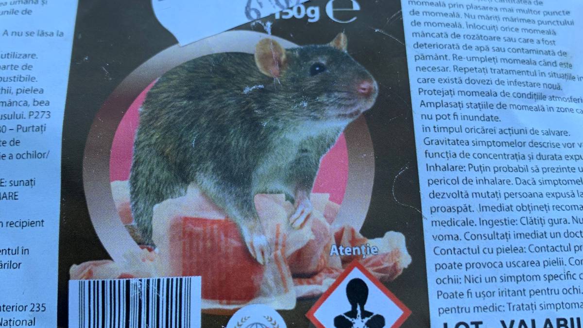 Smuglet rottegift – NRK Østfold – Lokale nyheter, TV og radio