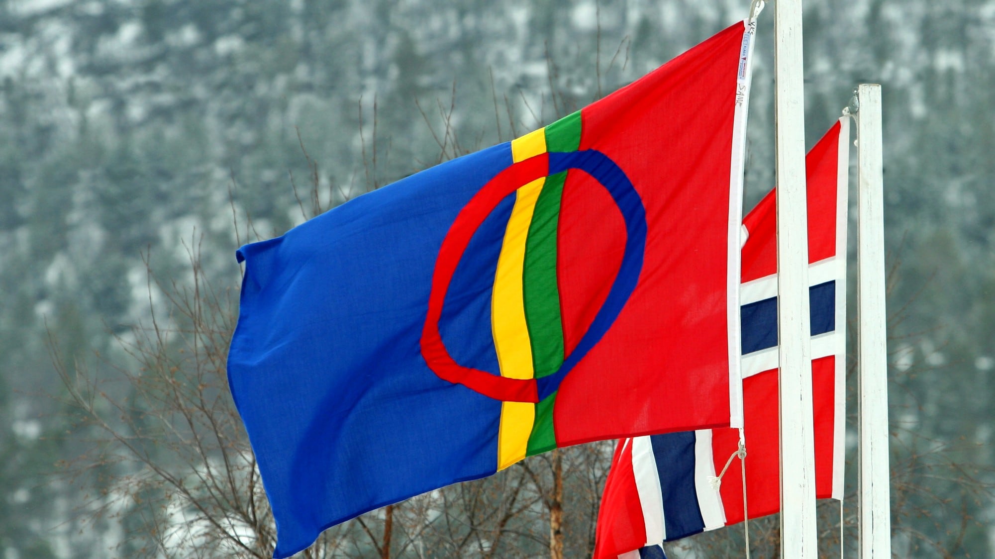 Stjeler samiske flagg på matmessen Grüne Woche i Berlin – NRK Sápmi ...