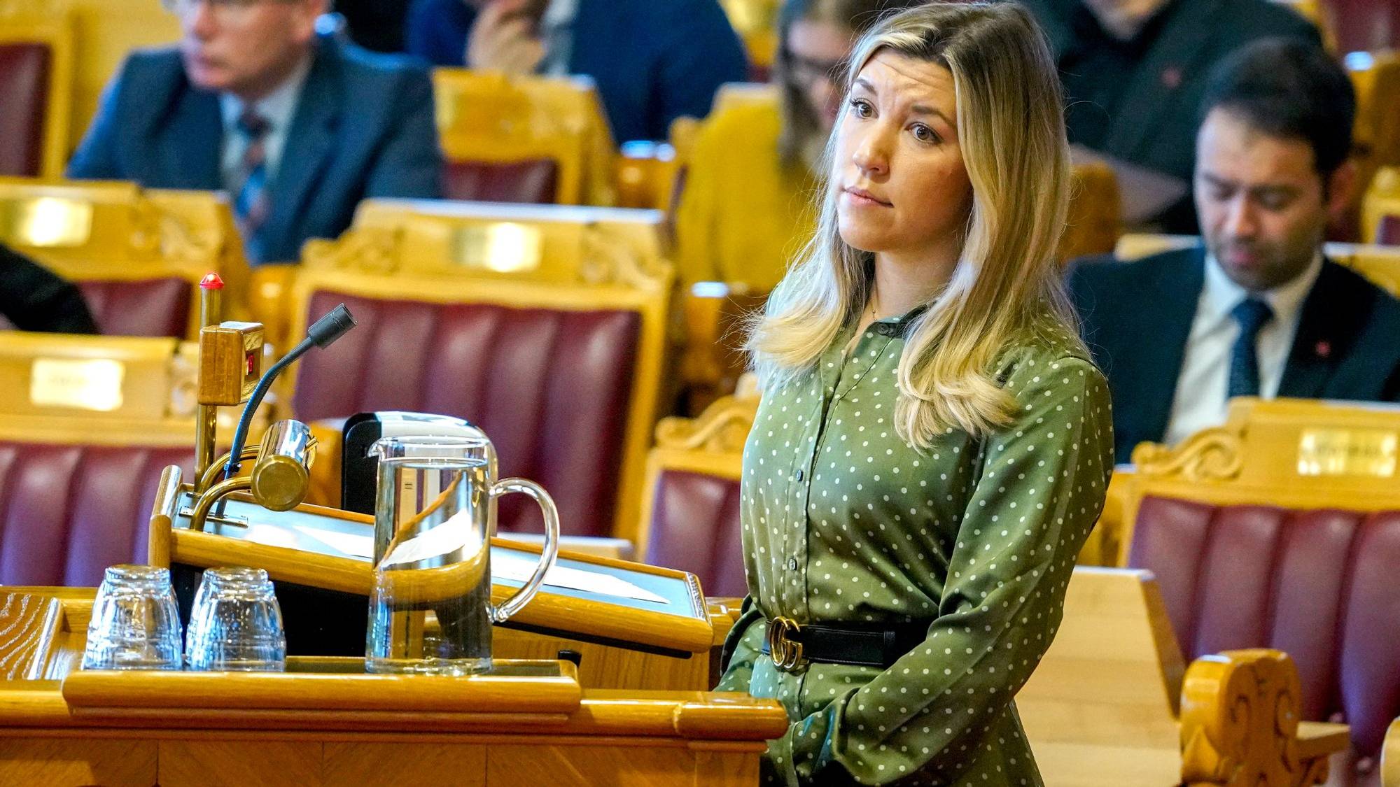 Stortingsrepresentant Anna Molberg mener nedskjæringer i politiet fører til mer ...