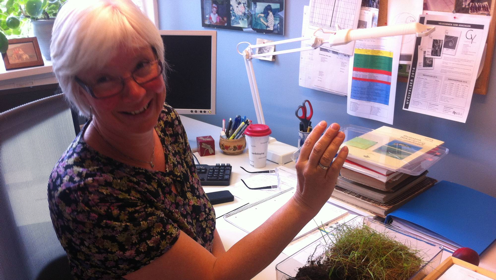 Larvene som spiser plenen din – NRK Østfold – Lokale nyheter, TV og radio