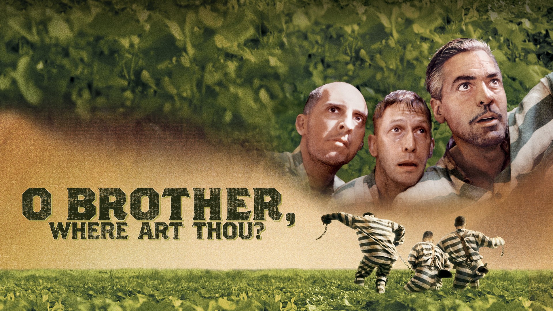 O Brother, Where art thou? - NRK TV