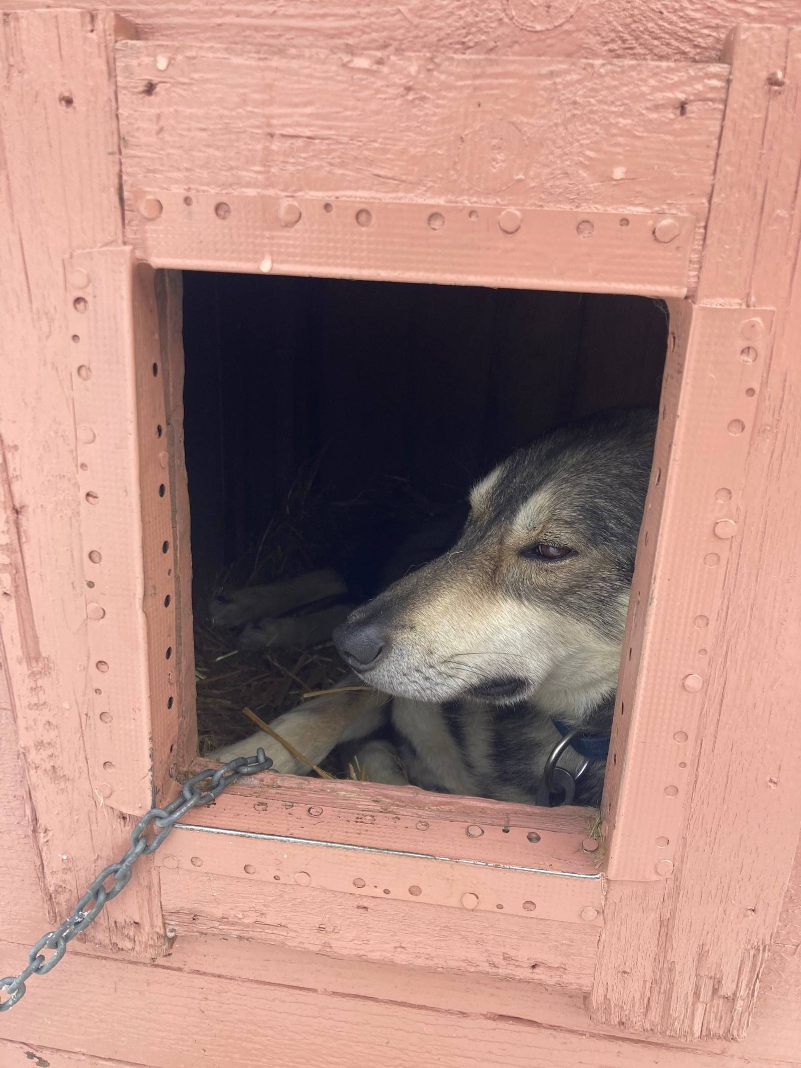 Henrik Bøe skulle aldri gjere same feil som faren – det fekk han til å ...
