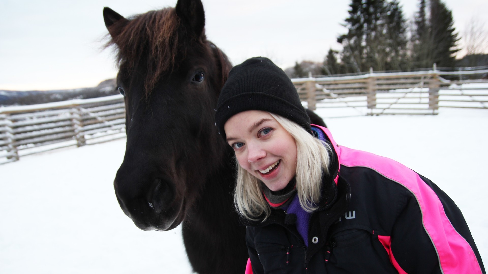 Newton arkiv - NRK TV