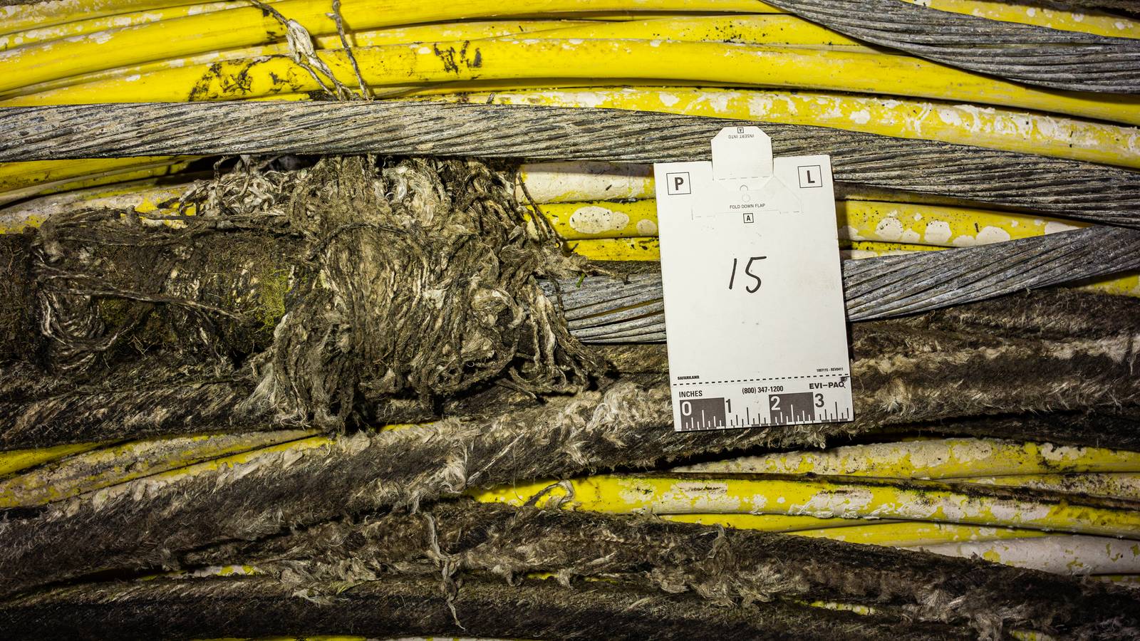 This is what the damaged Svalbard cable looked like when it came up ...