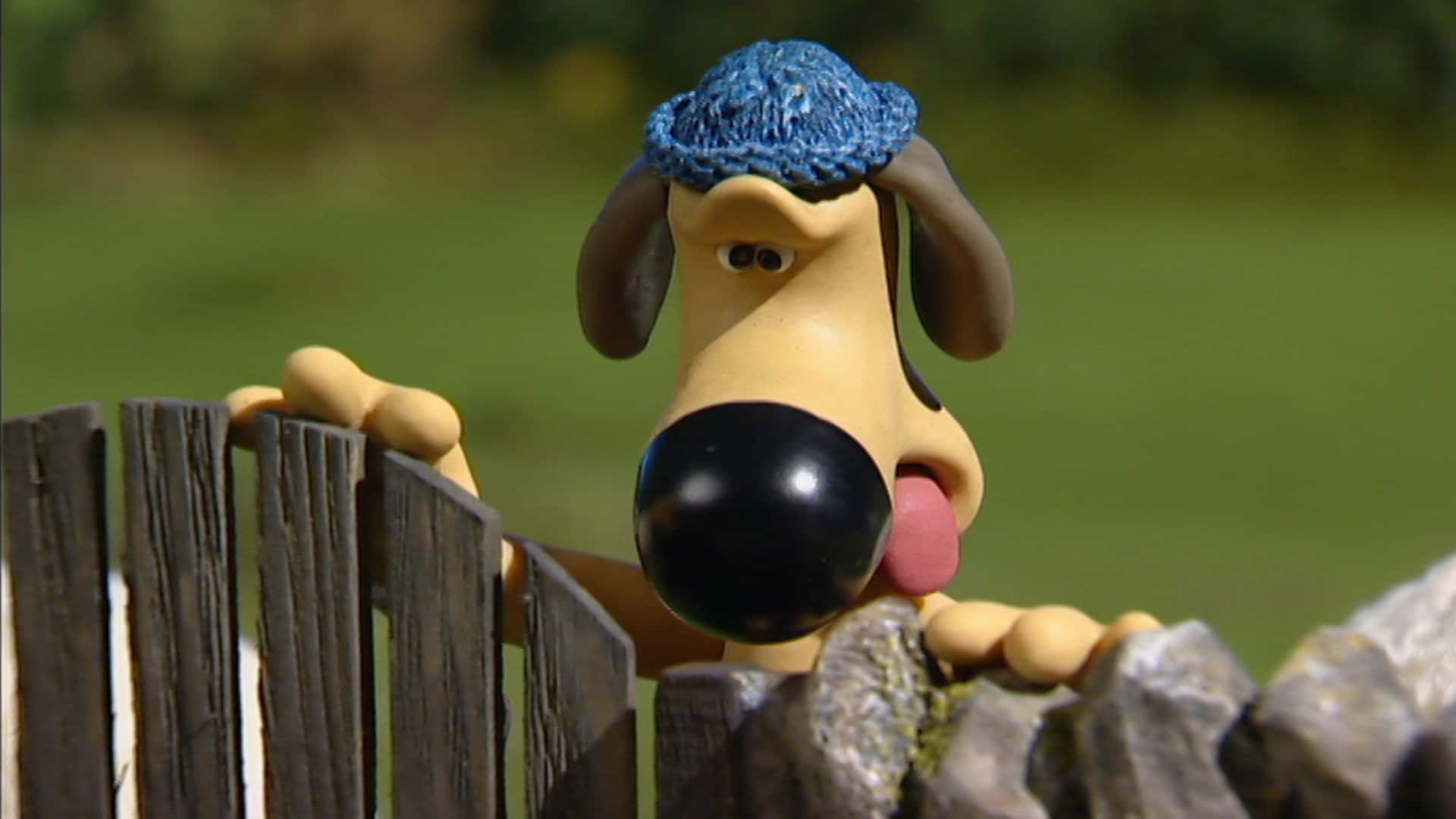 Sauen Shaun - NRK TV