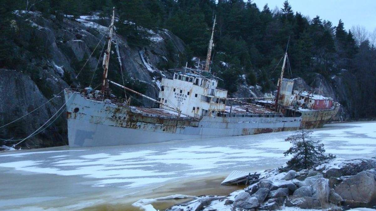 Hamen må fjernes – NRK Østfold – Lokale nyheter, TV og radio