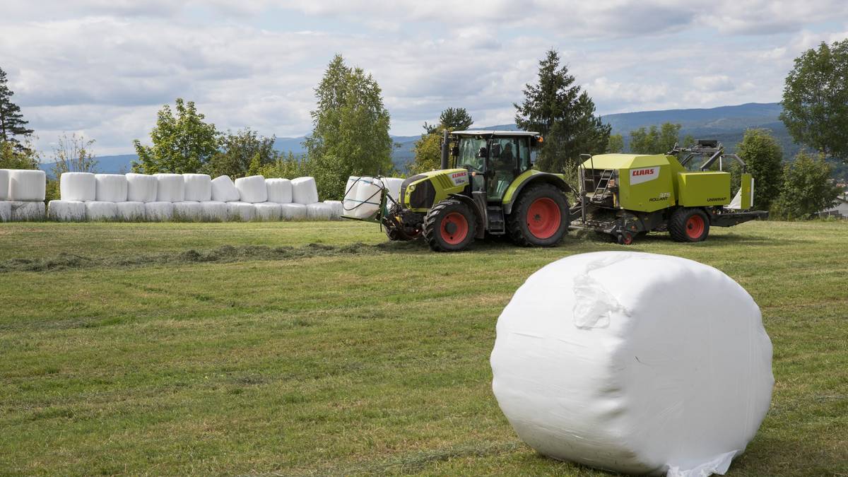 Landbruksdirektoratet med historisk høy utbetaling til norske bønder – Siste nytt – NRK