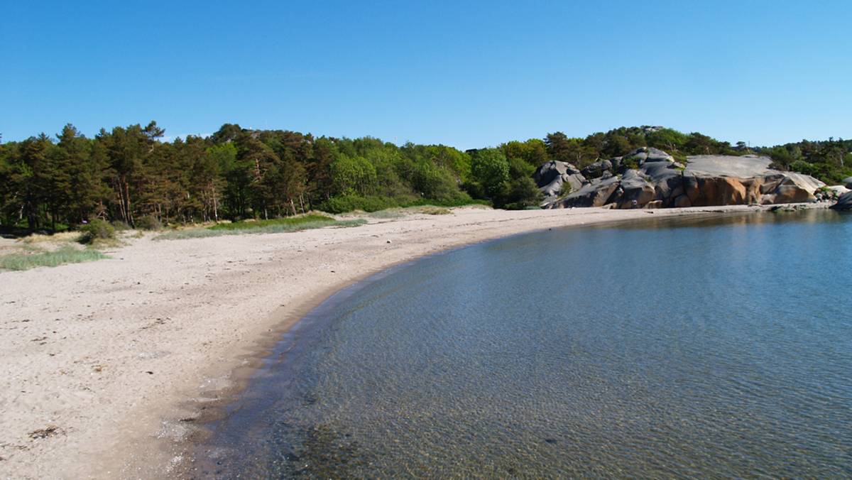 Kloakkutslipp på badestrand – NRK Vestfold og Telemark – Lokale nyheter ...