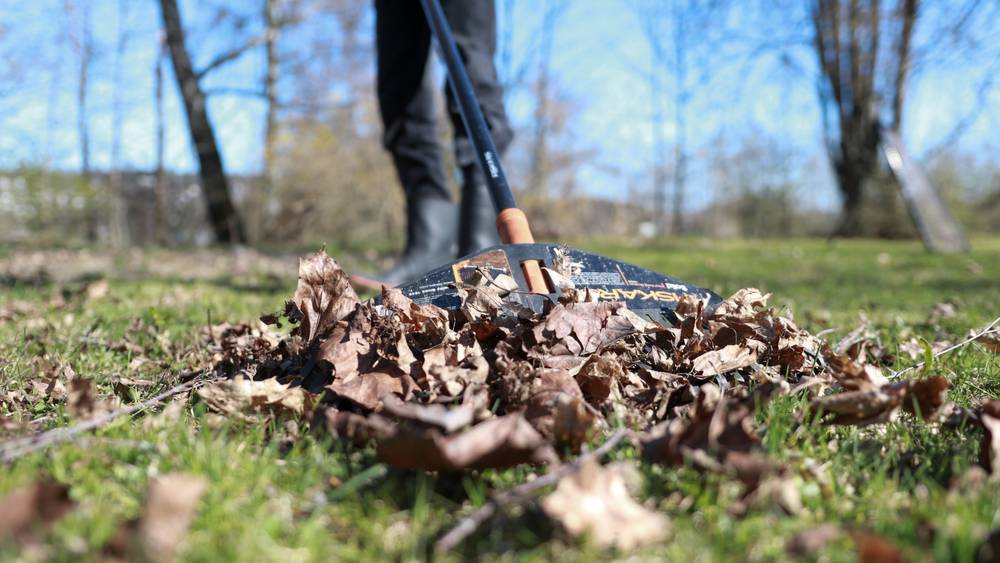 Man bør la hagen være rotete sånn at pinnsvinene kan gå i vinterdvale ...