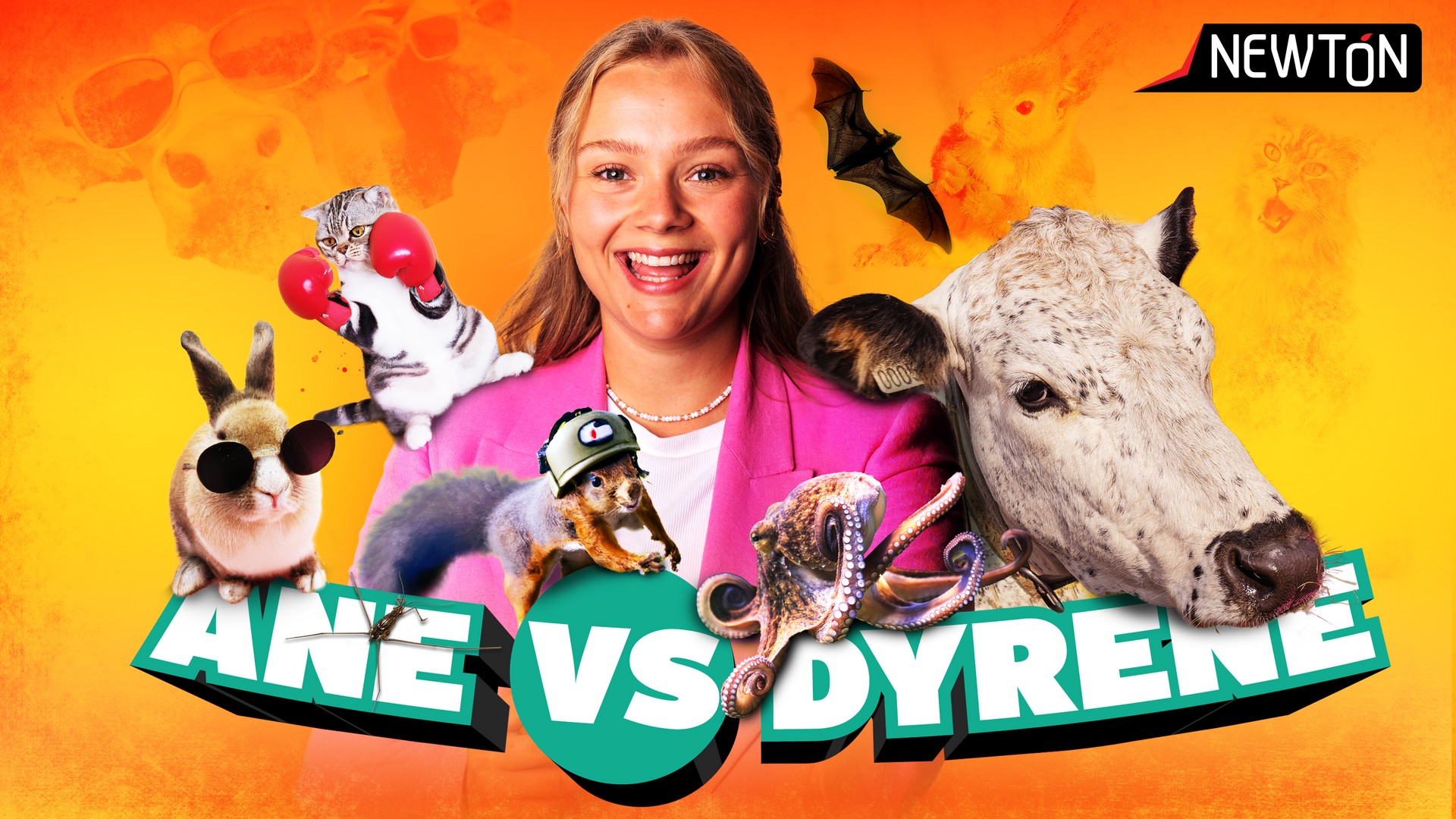 Newton: Ane vs dyrene - NRK TV