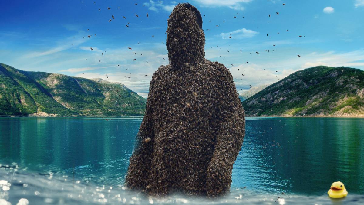 Knott eller mygg? – NRK Kultur og underholdning