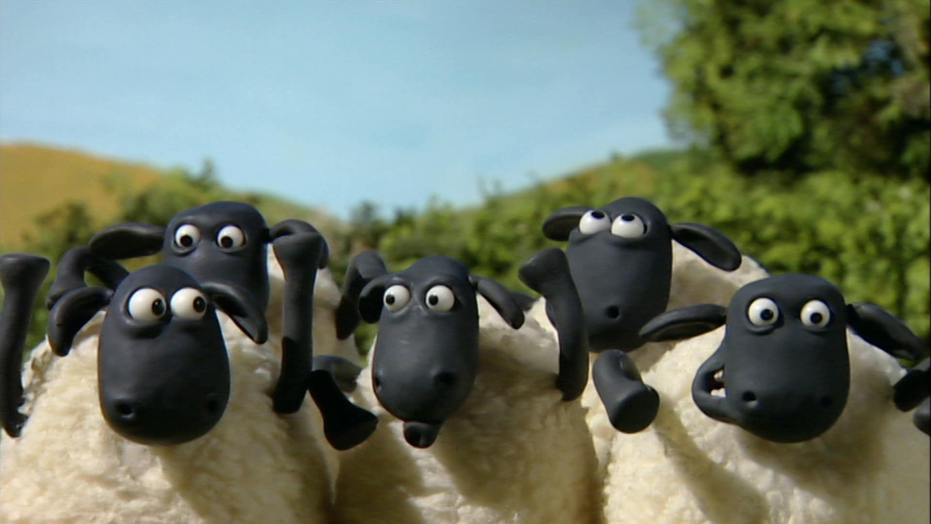 Sauen Shaun - NRK TV