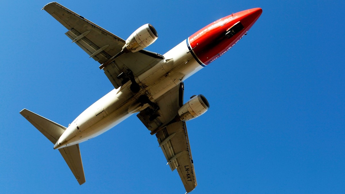 Flyvertinne slått til blods – NRK Norge – Oversikt over nyheter fra ...