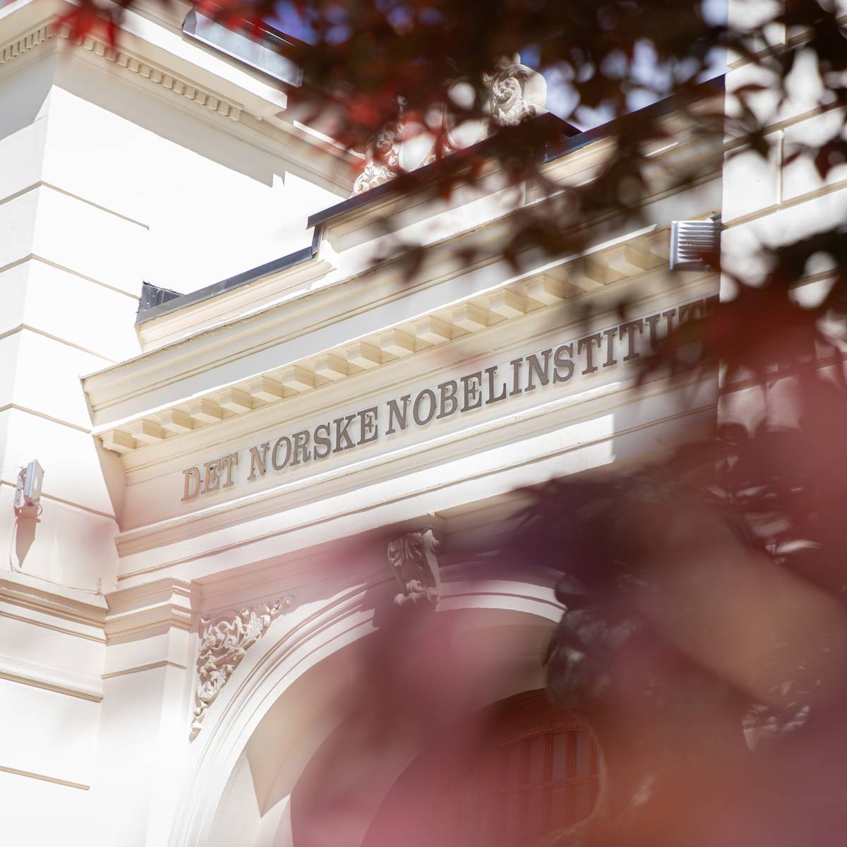 Kristian Berg Harpviken blir ny Nobeldirektør – NRK Norge – Oversikt ...