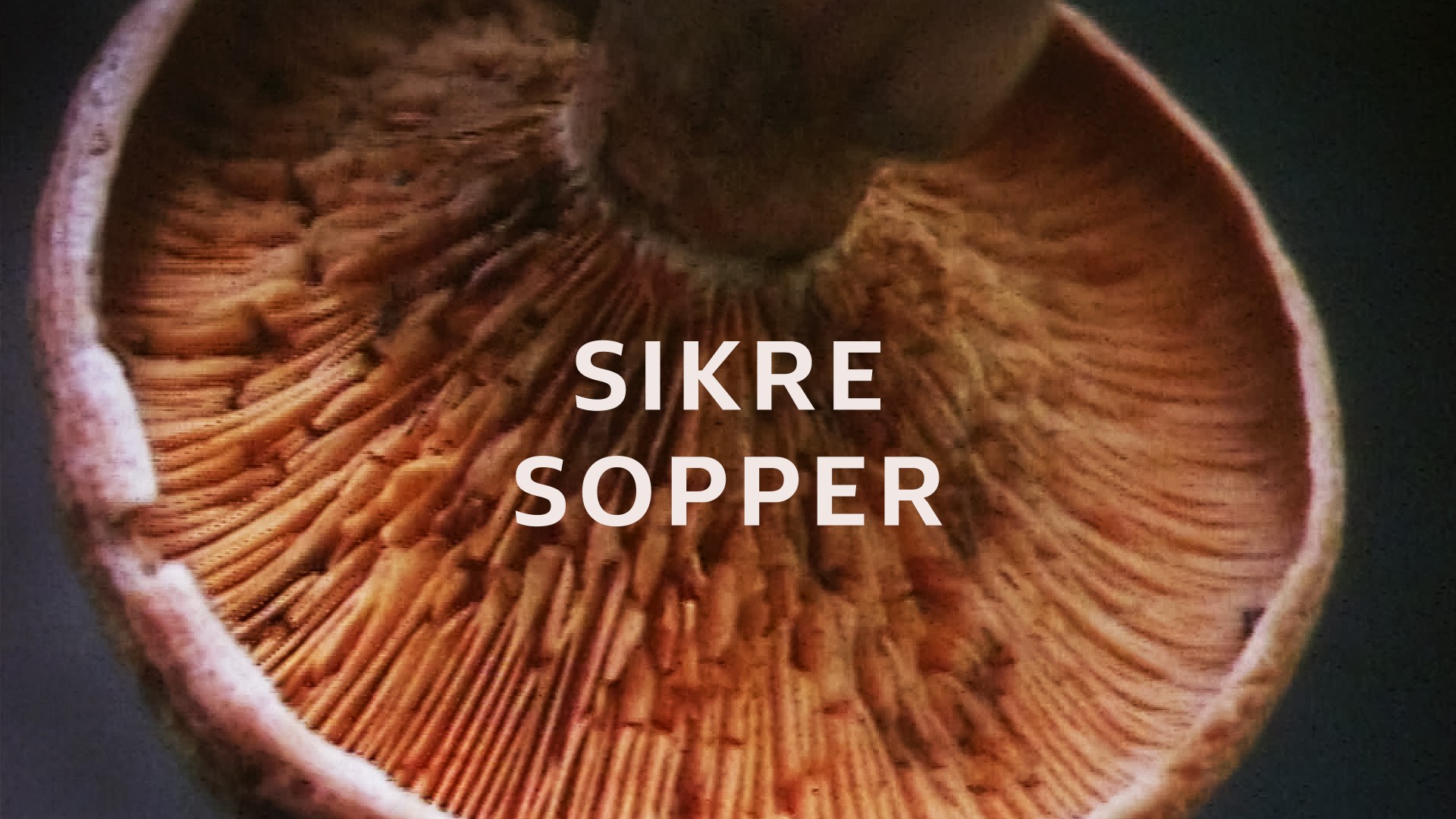 Sikre sopper - NRK TV