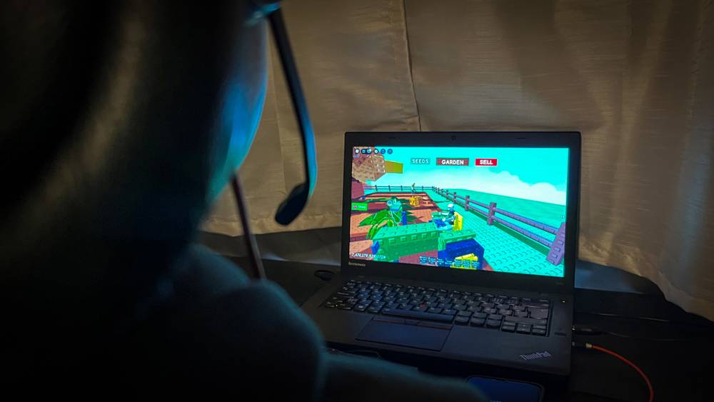 Roblox-spillet «Grow a garden» slo vanvittig rekord. Eksperter mener ...