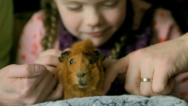 NRK Super - Olga da Polga